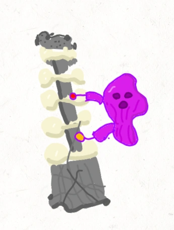 Gour | MSM Time travlers Wiki | Fandom