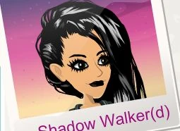 Shadow walker(d) | MSP Hacker Hunters Wiki | Fandom