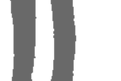 general support system