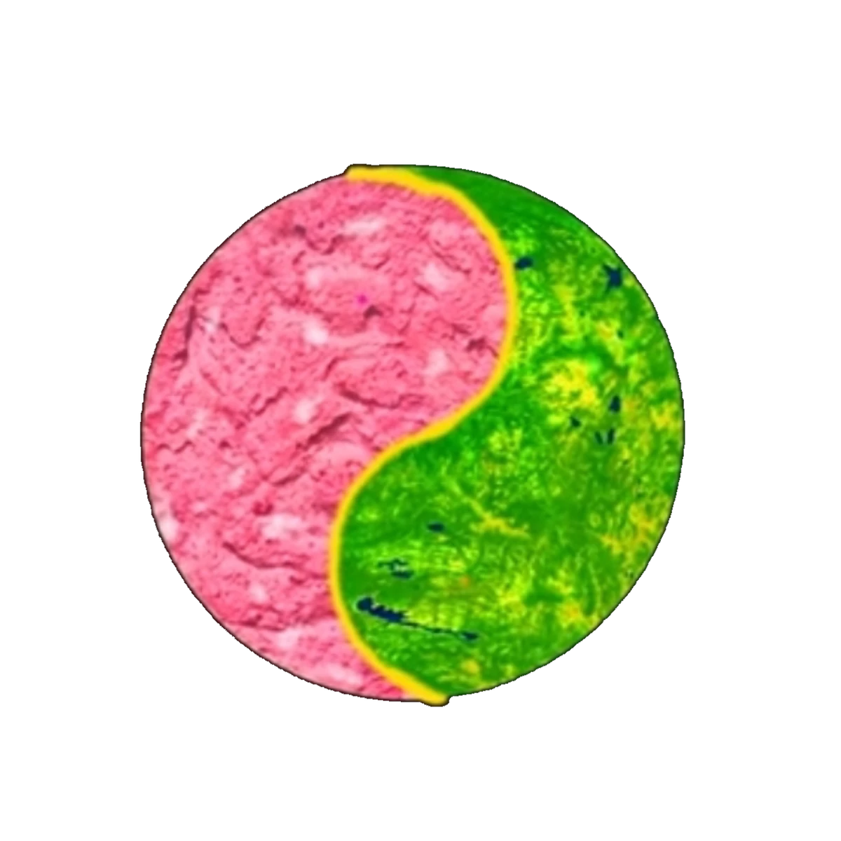 Land of Bark, Summer Sails and Clay | MSPFA Wiki | Fandom