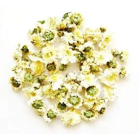 Flos Chrysanthemi - Ju Hua | Wiki MTC | Fandom