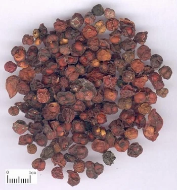 Fructus Schisandrae - Wu Wei Zi | Wiki MTC | Fandom