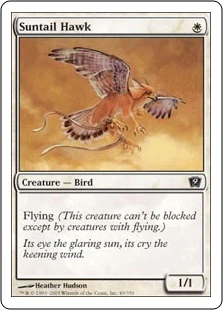 Suntail Hawk | Magic: The Gathering Wiki | Fandom