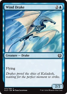 Wind Drake | Magic: The Gathering Wiki | Fandom