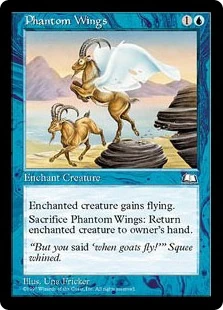 Phantom Wings | Magic: The Gathering Wiki | Fandom