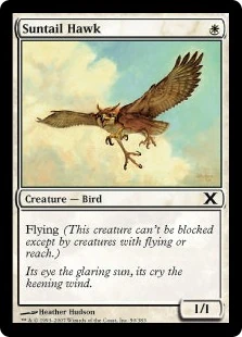 Suntail Hawk | Magic: The Gathering Wiki | Fandom