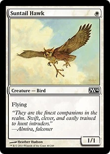 Suntail Hawk | Magic: The Gathering Wiki | Fandom