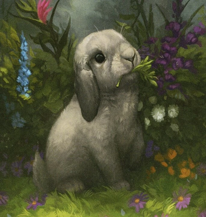 Rabbit - MTG Wiki