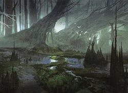 Swamp - MTG Wiki