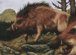 Boar - MTG Wiki