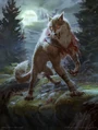 Arlinn Kord - MTG Wiki