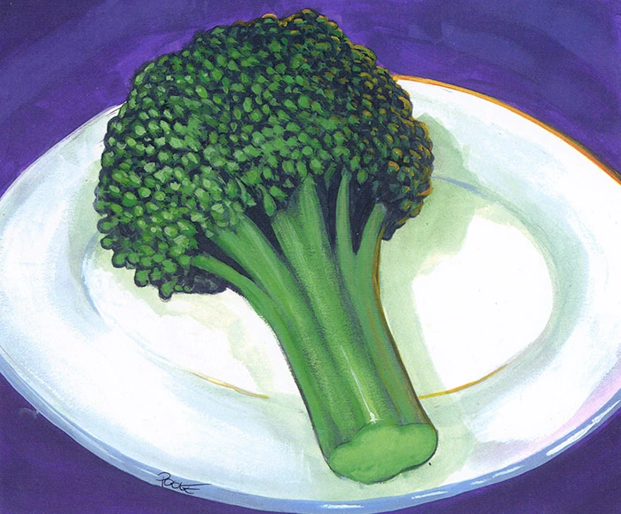 Vegetable - MTG Wiki