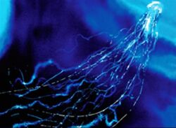 Jellyfish - MTG Wiki