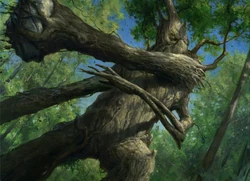 Treefolk - MTG Wiki
