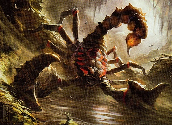 Bear Shark Octopus Scorpion