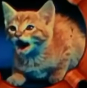 Mimsie | The Mary Tyler Moore Show Wiki | Fandom