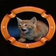 Mimsie | The Mary Tyler Moore Show Wiki | Fandom