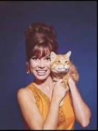 Mimsie | The Mary Tyler Moore Show Wiki | Fandom