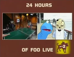 June 12, 2005 | MTV2 Schedule Archives Wiki | Fandom