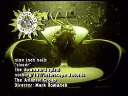 January 31, 1995 | MTV Schedule Archives Wiki | Fandom