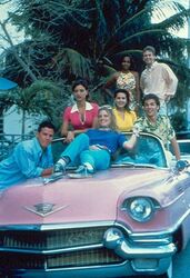 The Real World: Miami | MTV's The Real World Wikia | Fandom