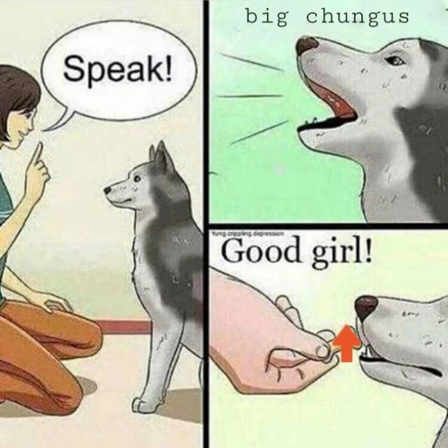 Big Chungus | Made up Characters Wiki | Fandom