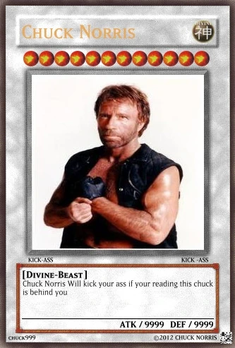 Chuck Norris card | Made up Characters Wiki | Fandom