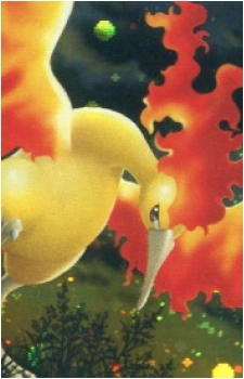 Moltres | Mudae Wiki | Fandom