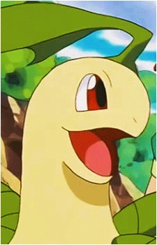 Ash's Bayleef | Mudae Wiki | Fandom