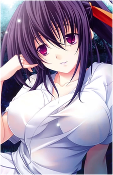 Akeno Himejima High School Dxd Wiki Fandom Powered By Wikia