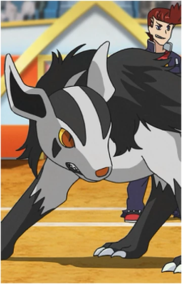 Mightyena And Poochyena