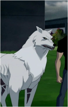 Wolf (YJ) | Mudae Wiki | Fandom