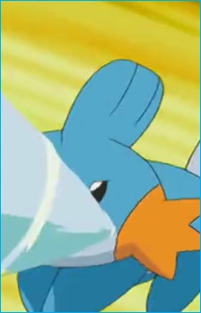 Mudkip | Mudae Wiki | Fandom