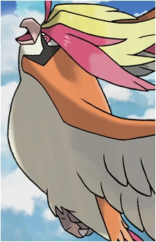 Pidgey | Mudae Wiki | Fandom