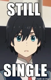 Profile Mudae Wiki Fandom