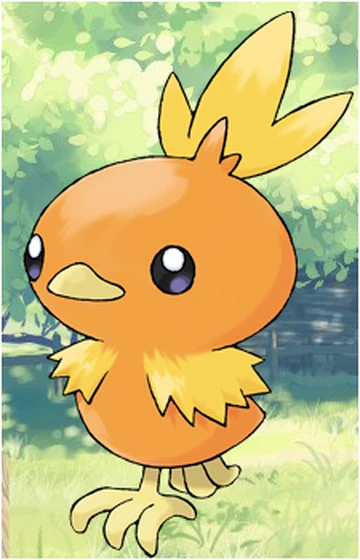 Cute Torchic Wallpaper