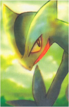 Treecko | Mudae Wiki | Fandom
