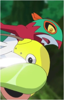 Ash's Hawlucha | Mudae Wiki | Fandom