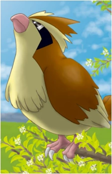 Pidgey | Mudae Wiki | Fandom