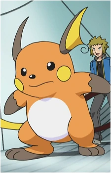 Pikachu (Species) | Mudae Wiki | Fandom