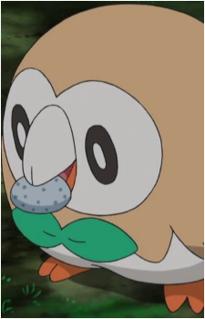 Ash's Rowlet | Mudae Wiki | Fandom