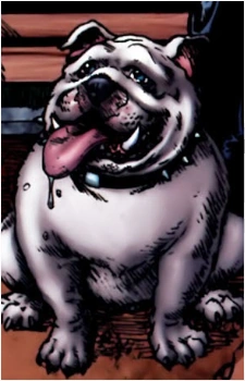 Terror (TB) | Mudae Wiki | Fandom