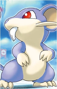 Rattata | Mudae Wiki | Fandom
