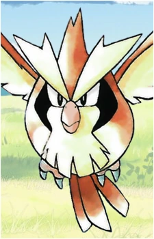 Pidgey | Mudae Wiki | Fandom