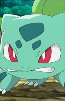 Ash's Bulbasaur | Mudae Wiki | Fandom