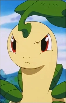 Ash's Bayleef | Mudae Wiki | Fandom