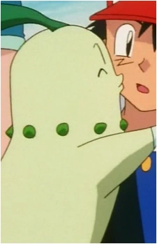 Ash's Bayleef | Mudae Wiki | Fandom