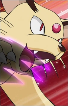 Meowth (Species) | Mudae Wiki | Fandom