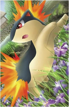 Cyndaquil | Mudae Wiki | Fandom
