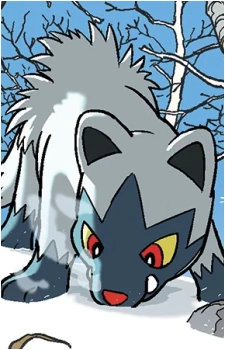 Poochyena | Mudae Wiki | Fandom
